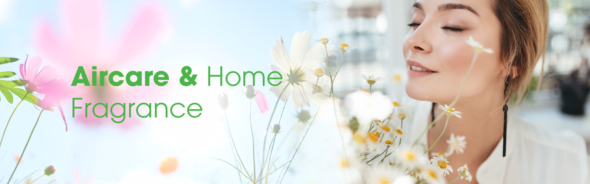 Home Fragrance Brands | House Scents | 151 Products